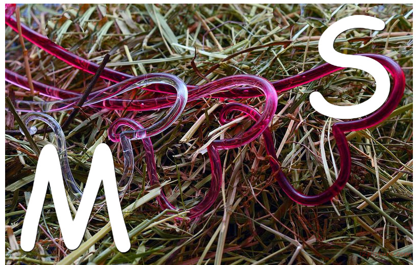 Your Name And Your Lover On The Hearts Of Shalimo Postcard